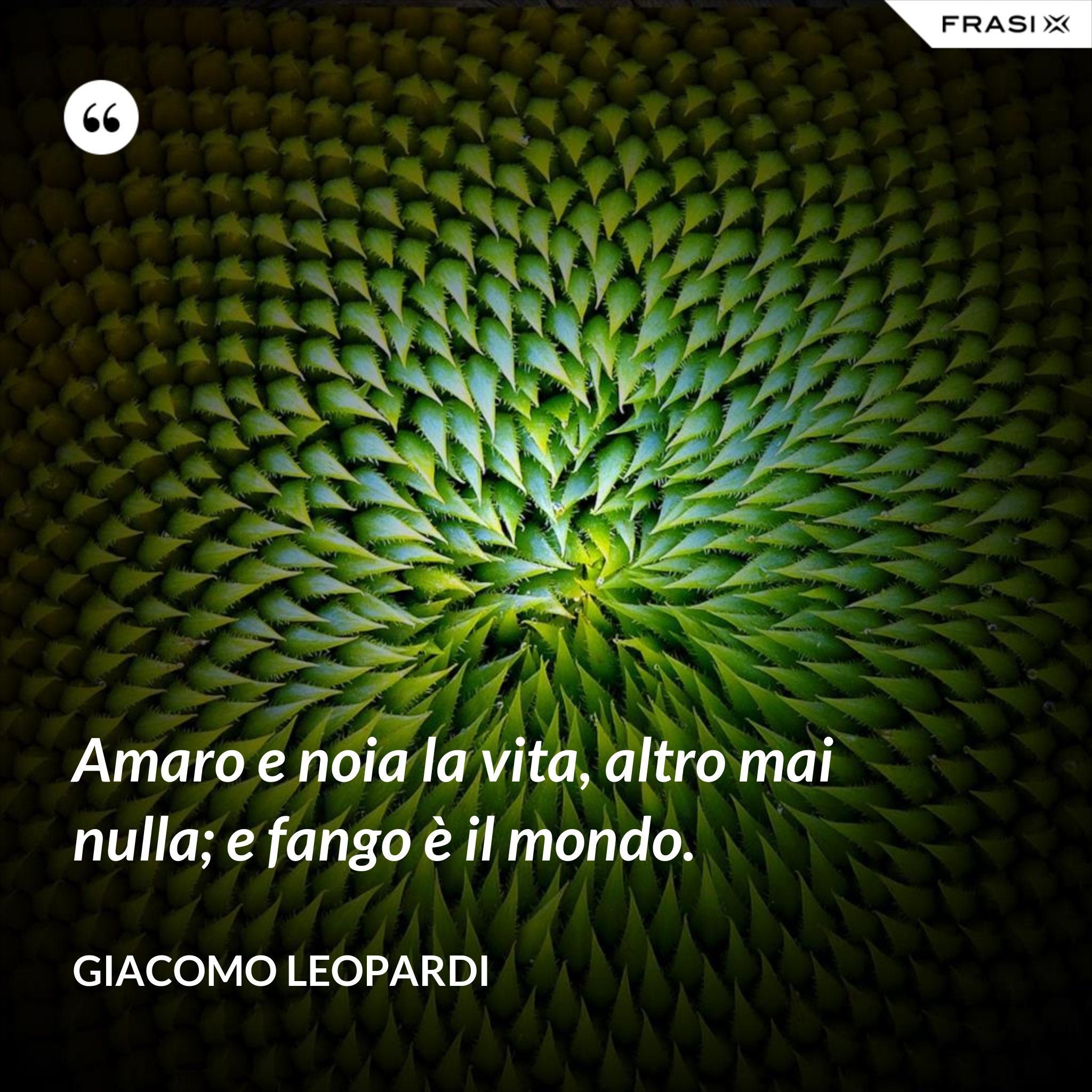 Giacomo Leopardi: le frasi più belle e profonde del grande poeta italiano